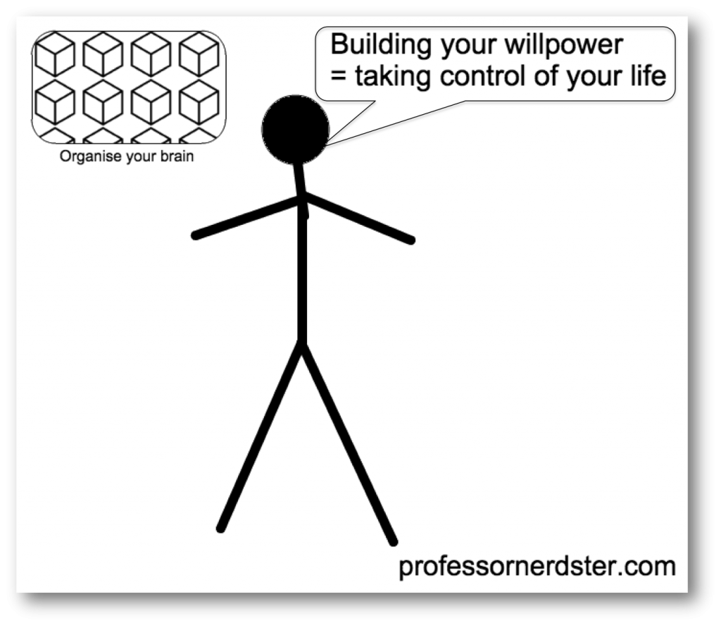 The Willpower Scientist | How To Get More Out Of Life - Professor Nerdster