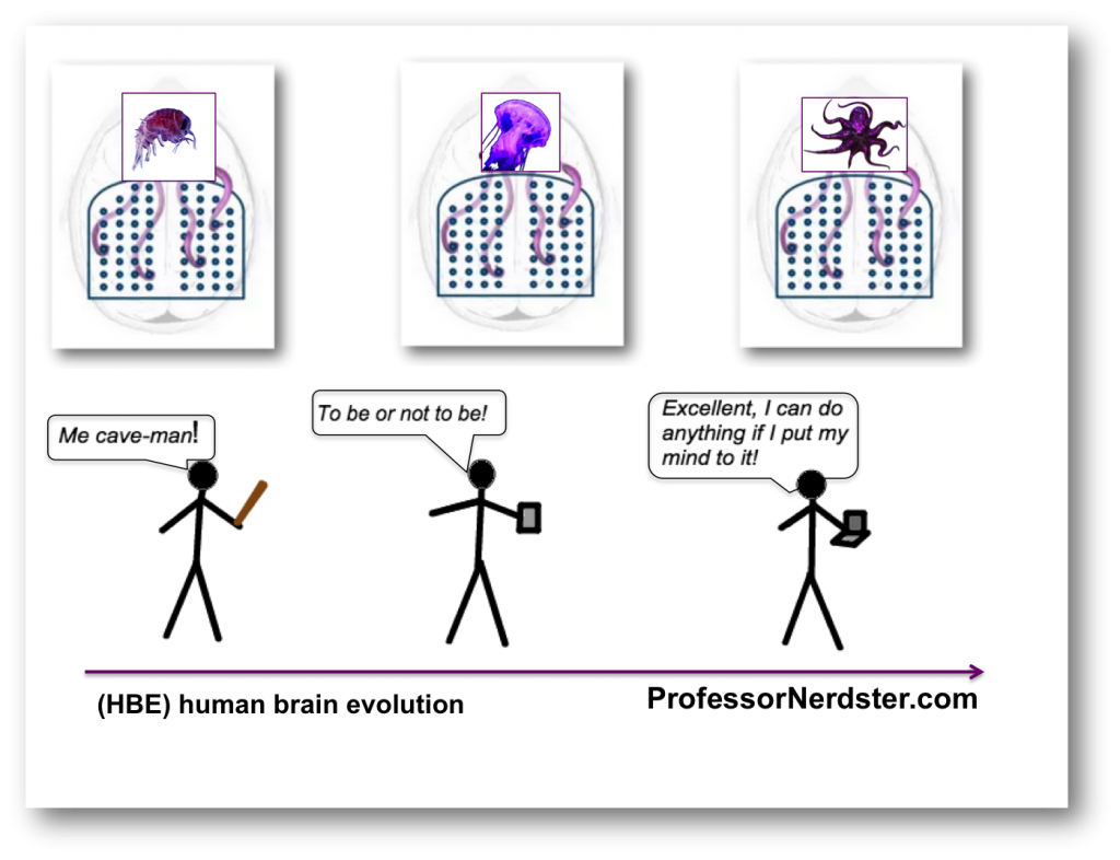 The Willpower Scientist | How To Get More Out Of Life - Professor Nerdster