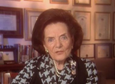 Professor Nerdster | Business and Politics Analysed